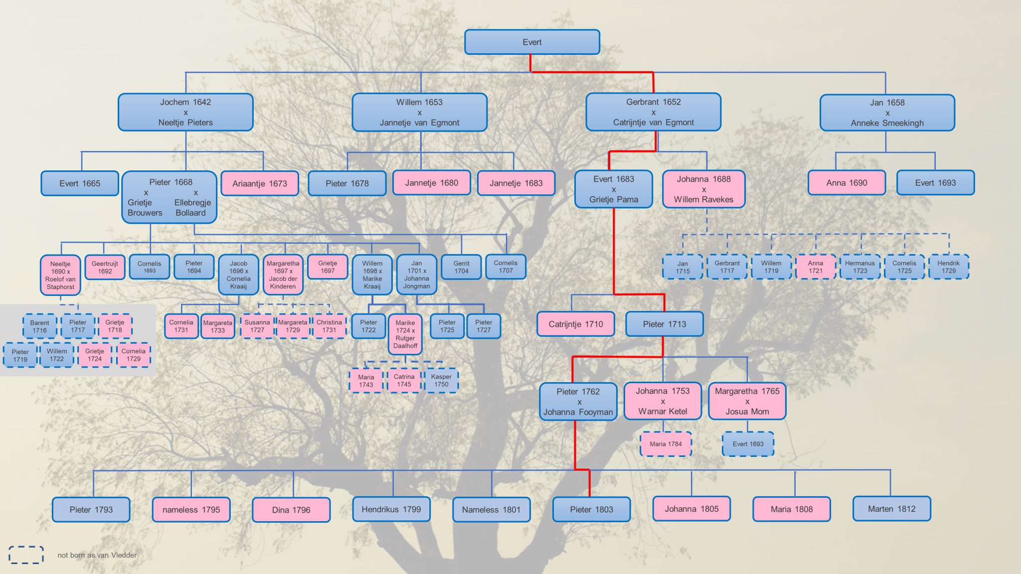Family tree until early 1800 – vanvledder.nl